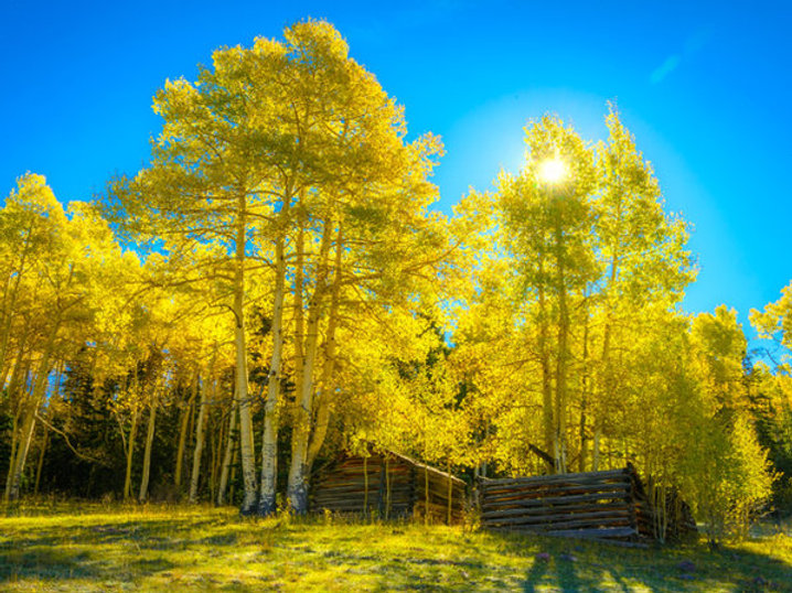 Founders Release Introduction Coming March 1st.