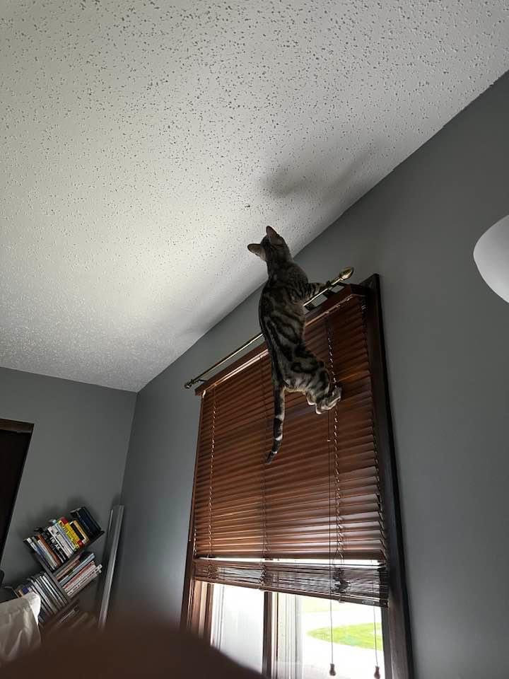 The Nightmare Before Prom