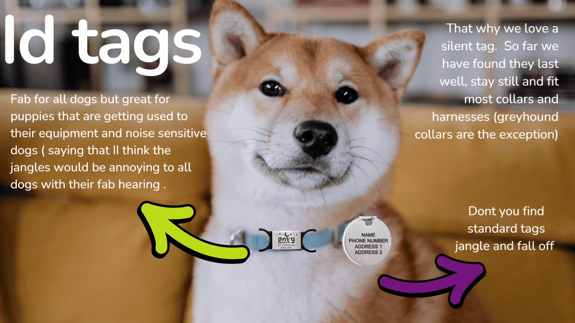 This is the most dull Dog blog - that might just save your dogs life