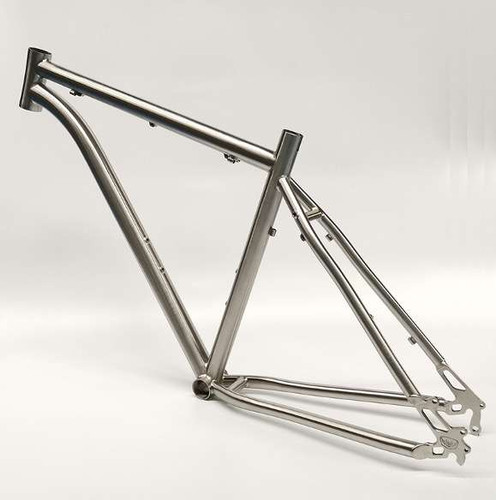 Titan Mountainbike Hardtail Rahmen 29" | GT2