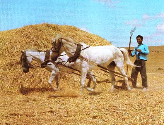 Cutting edge restoration of the church of Jesus Christ