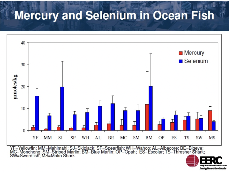 Mercury levels in tuna have remained nearly unchanged since 1971
