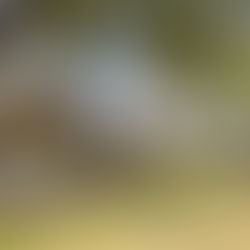 Local News | Q-Media Group