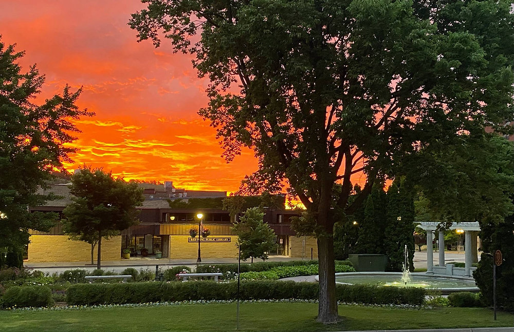 Red Wing Public Library Services