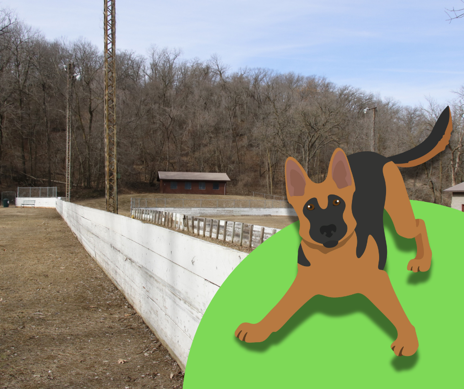 Red Wing Temporary Dog Park Open