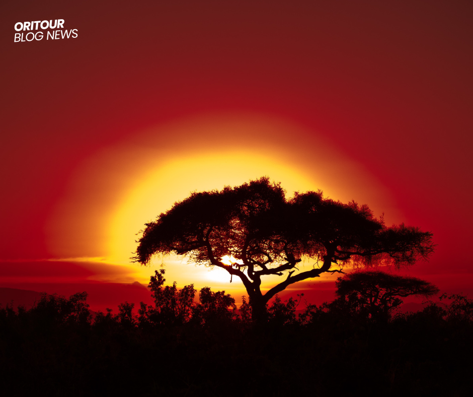 What Makes a Destination African Enough?