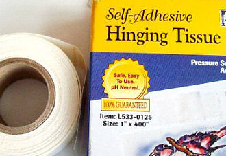 HINGING TISSUE® | PH Neutro