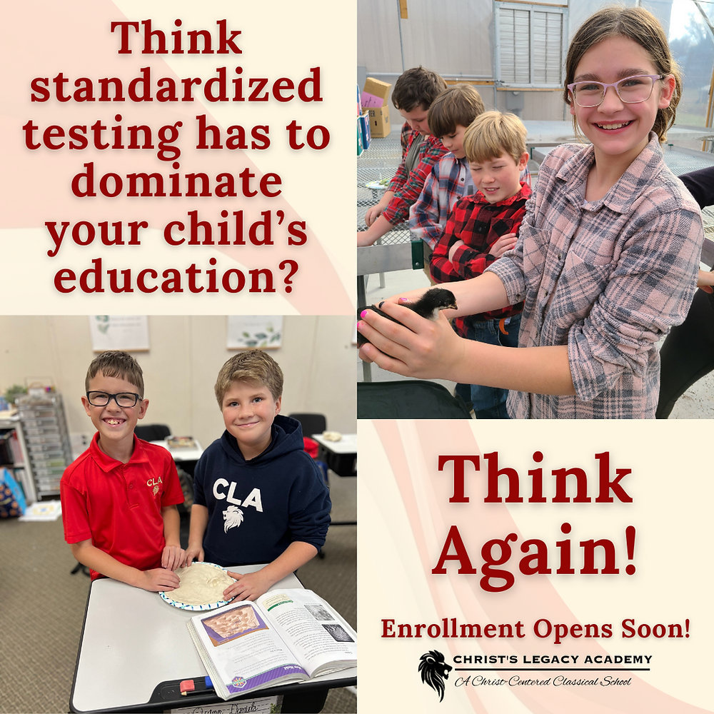 Think standardized testing has to dominate your child's education ...