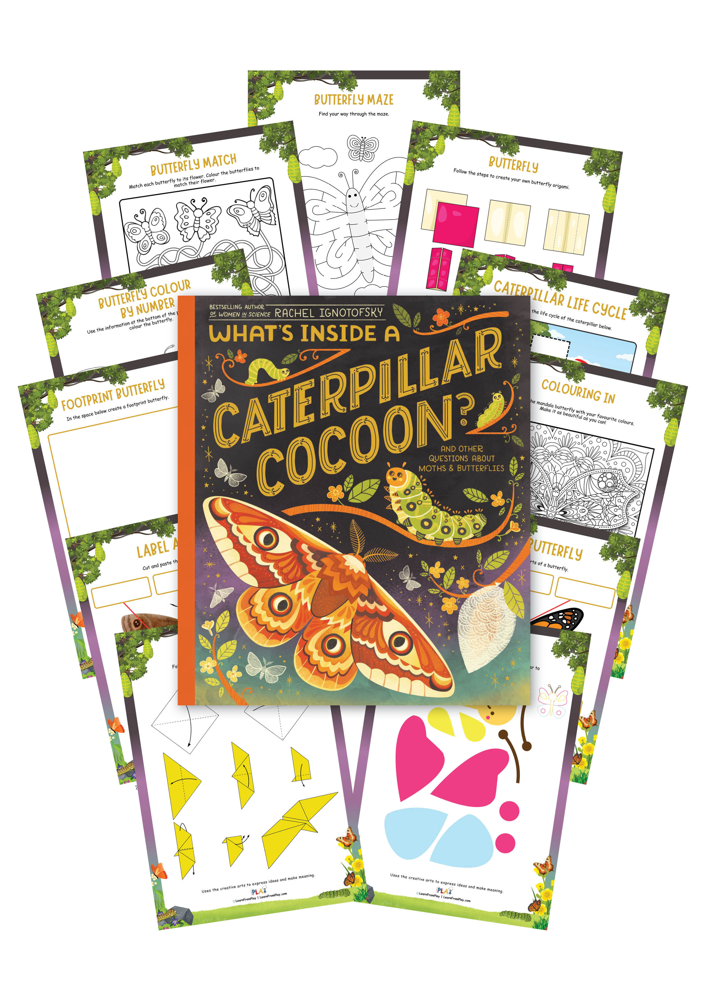 What’s Inside a Caterpillar Cocoon? Book Activities | Learn From Play 2025