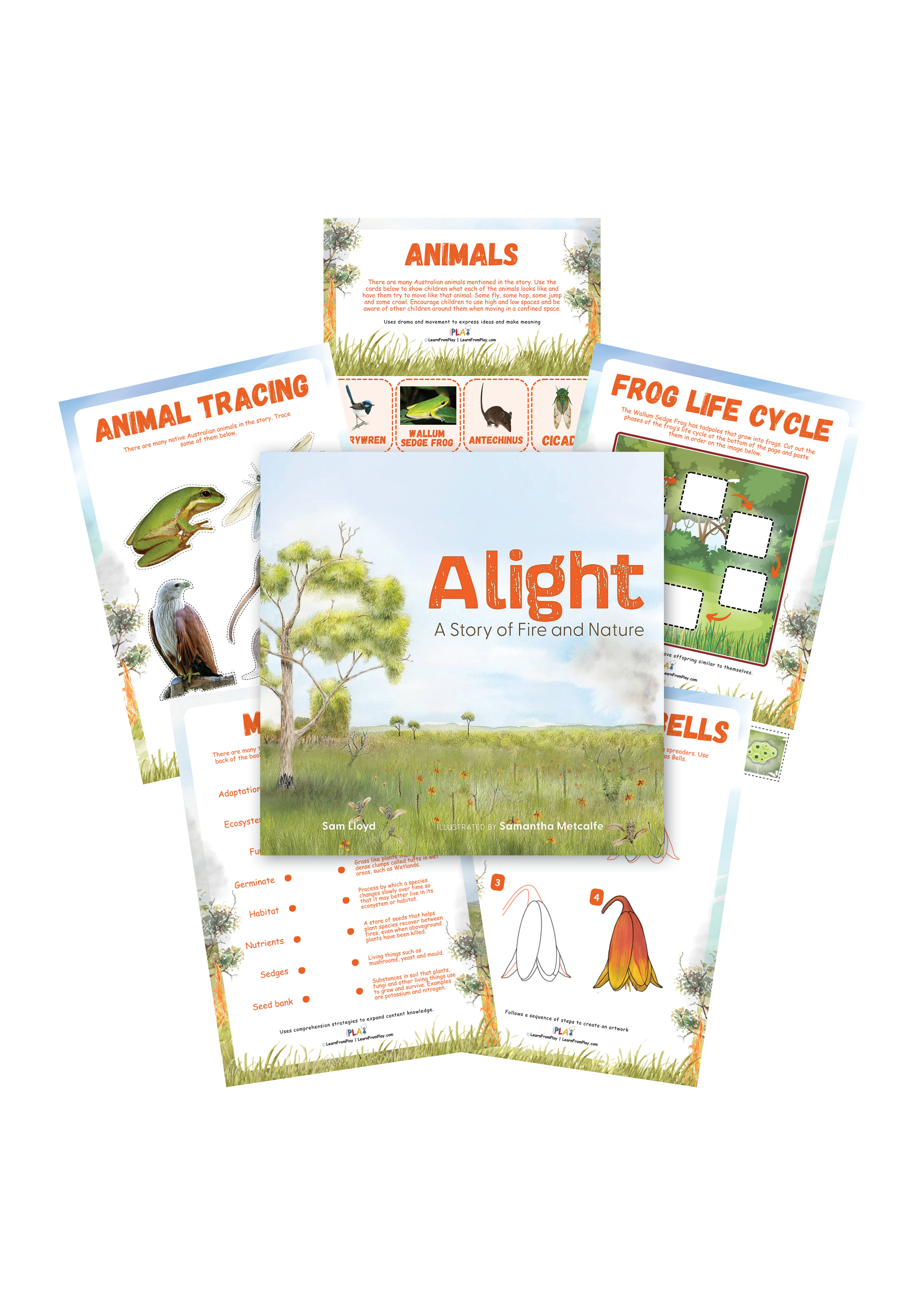 Alight – A Story of Fire and Nature Book Activities | Learn From Play 2025