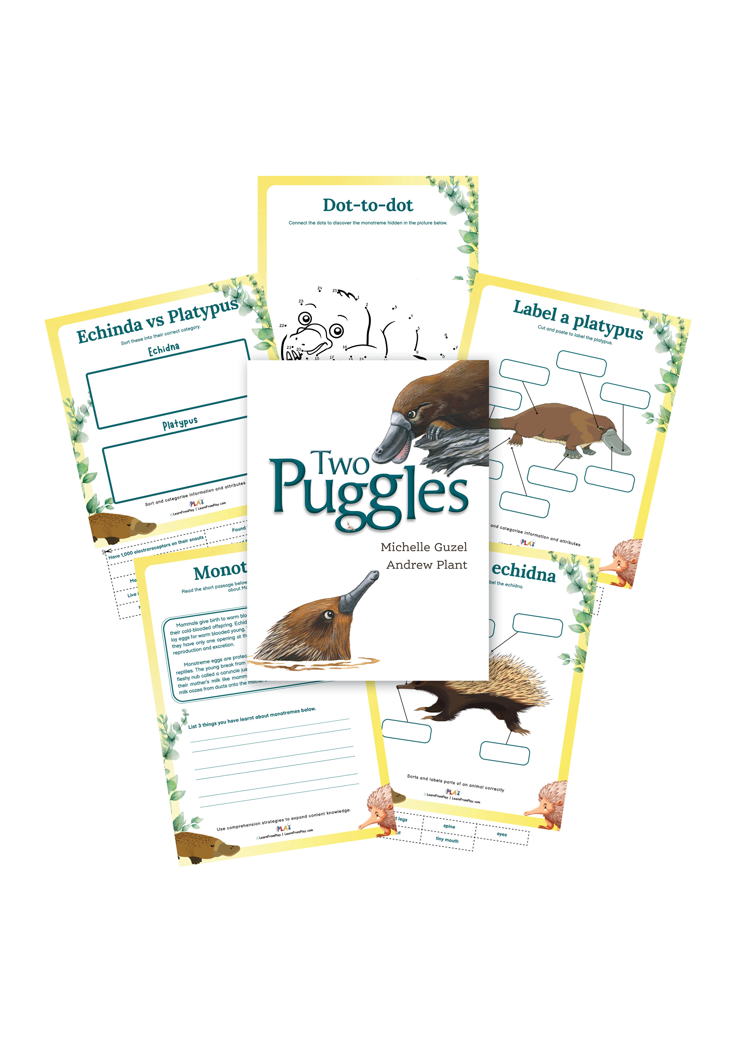 Two Puggles Book Activities | Learn From Play 2025