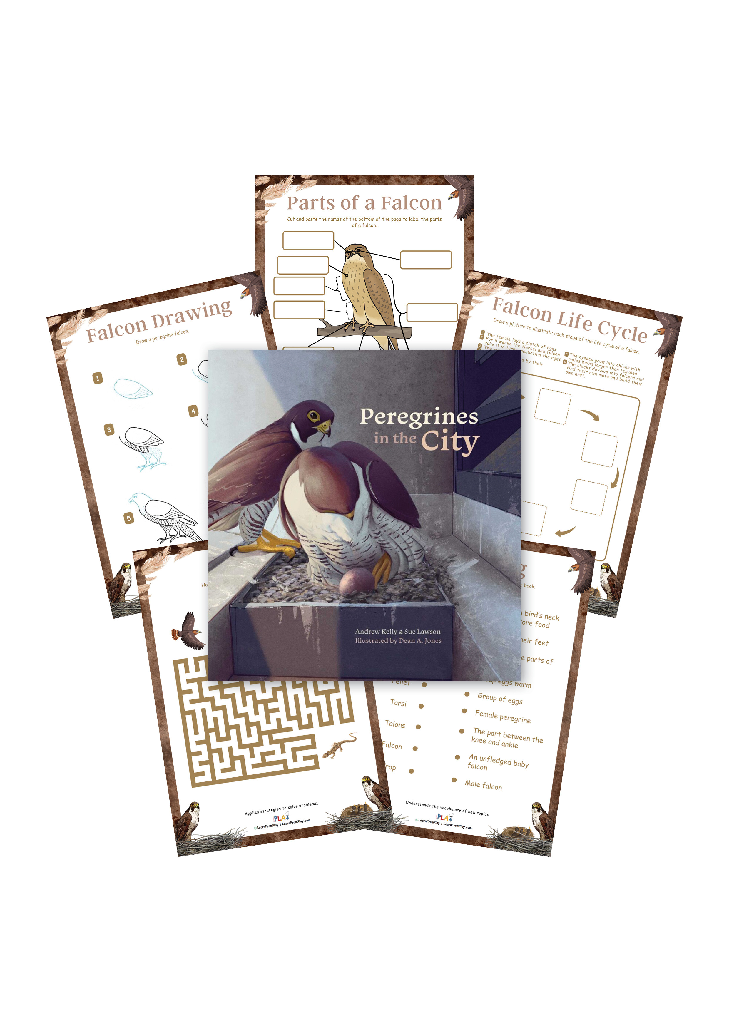 Peregrines In the City Book Activities | Learn From Play 2026