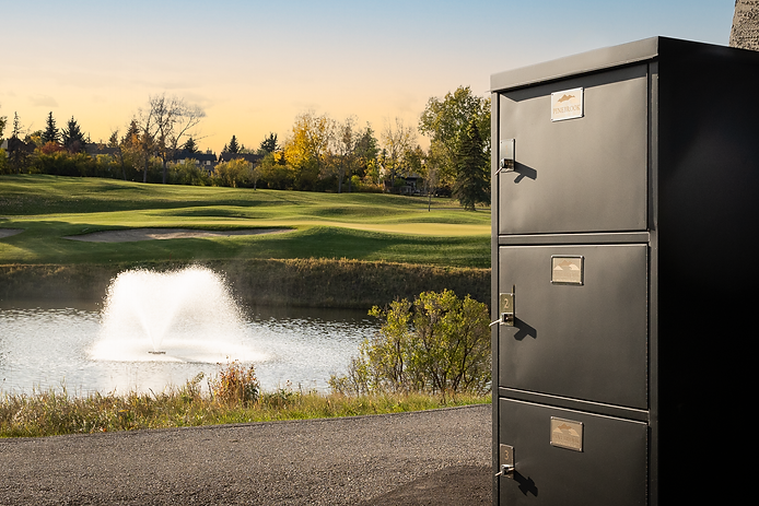 About | The Cart Locker