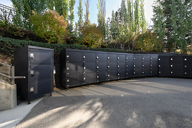 About | The Cart Locker