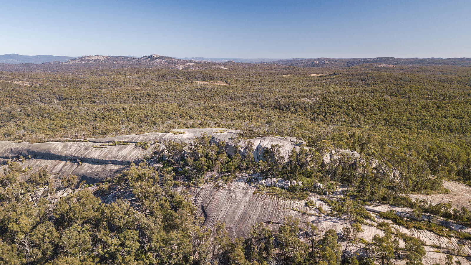 Little Bald Rock Track