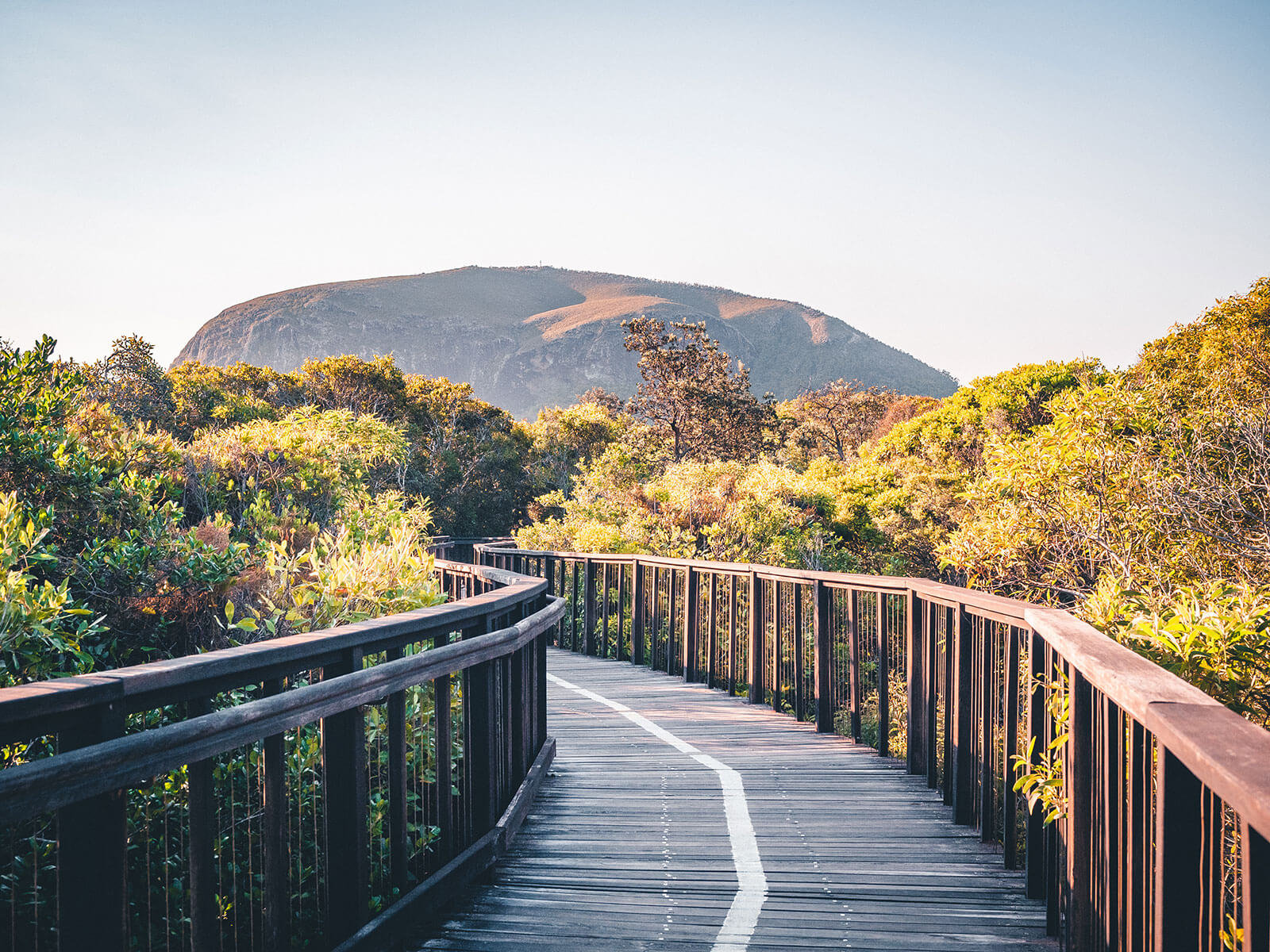 Boardwalk View of Mount Coolum