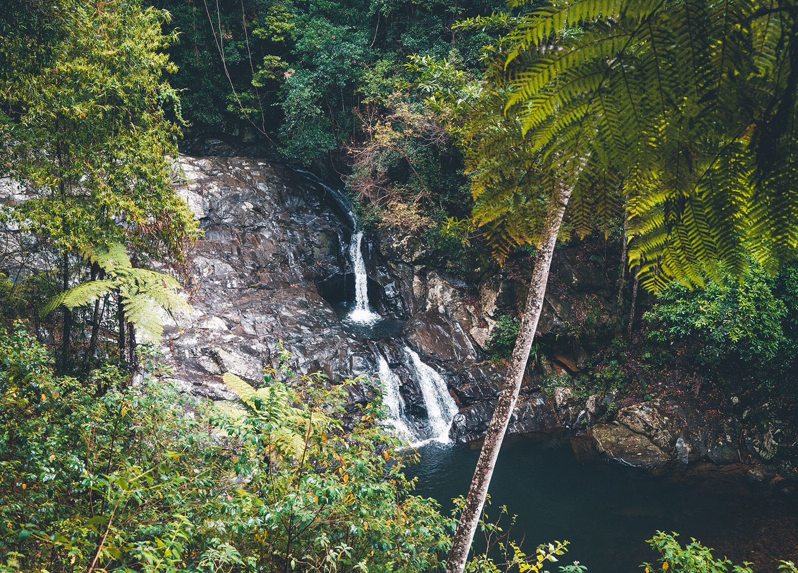 Cougal Cascades