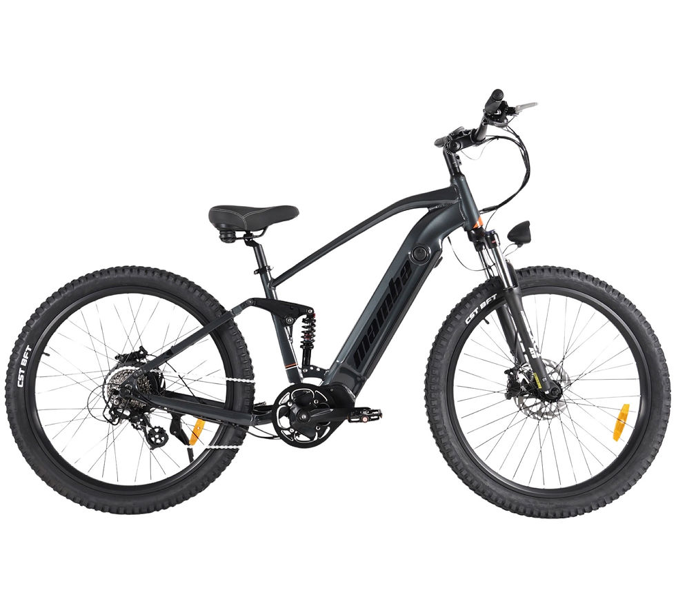 2024 Nueva Mamba Venom Antidote Double Strike E Mtb Bicicleta Eléctrica