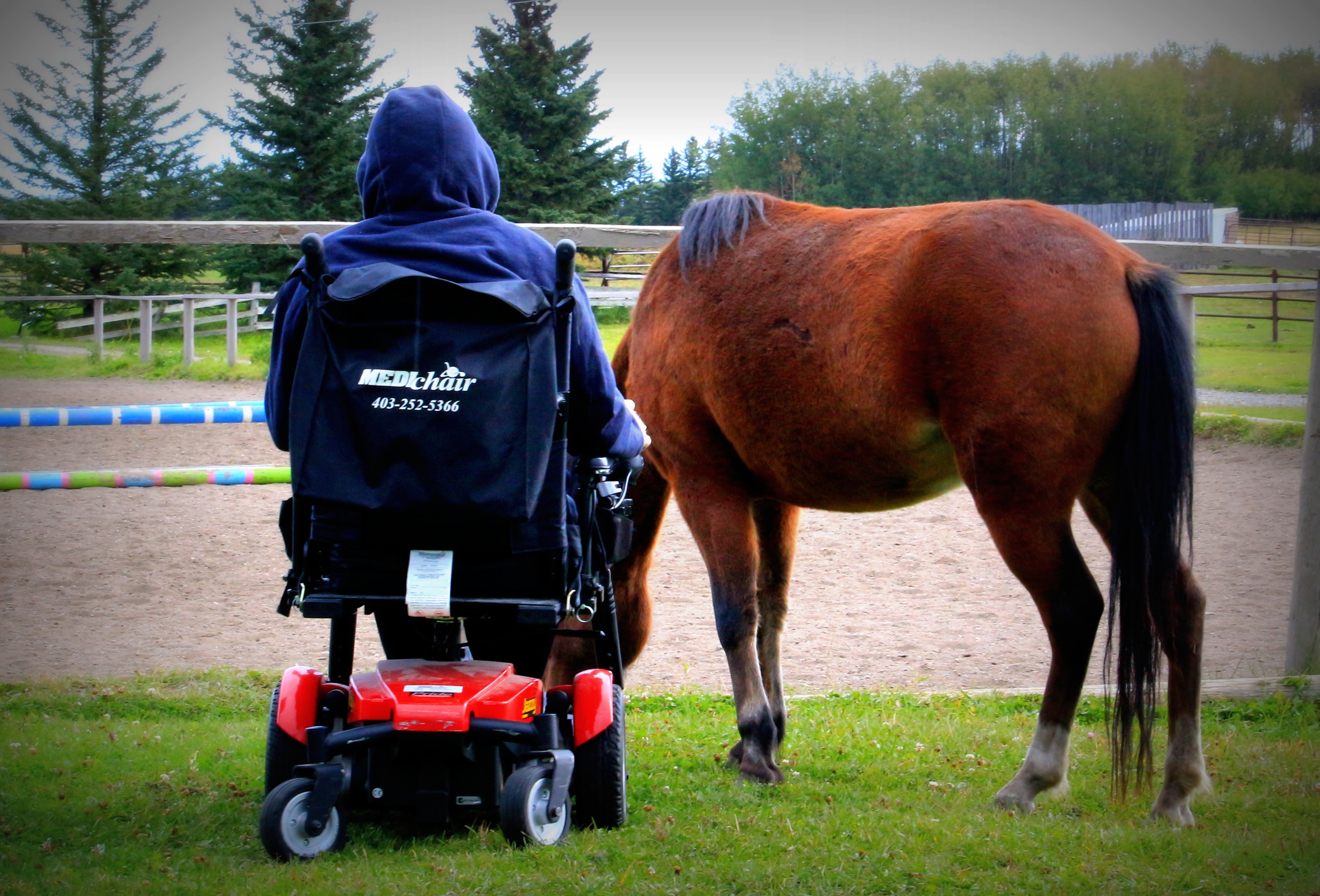 Benefits | Calgary | 4:13 Therapeutic Riding Association Benefits | Calgary | 4:13 Therapeutic Riding Association
