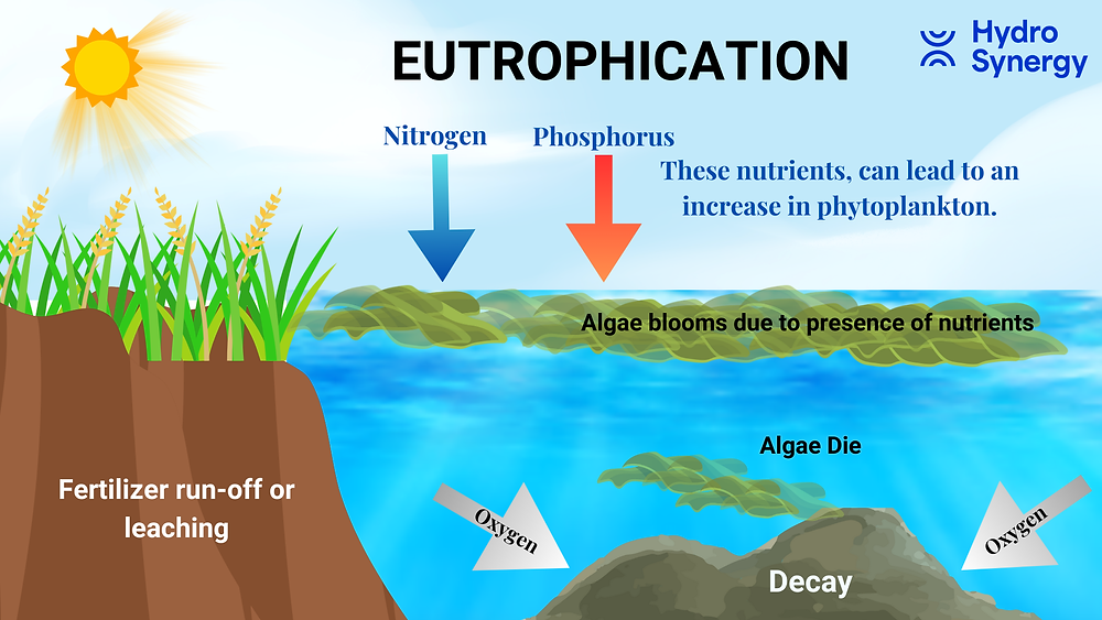 Understanding Eutrophication: Innovative Algae Control with Hydro ...