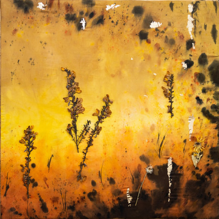 Fine Art | Kayleigh Davis Art