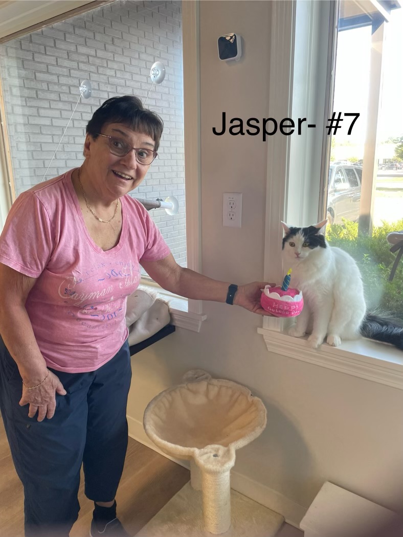 Celebrating 79 Adoptions and Counting at Marcie’s Angels Cat Cafe!
