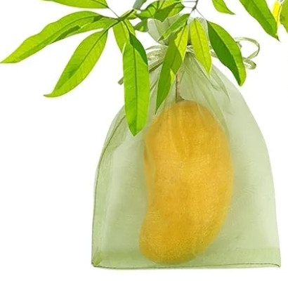 Fruit Protection Bags | Graft A Mango