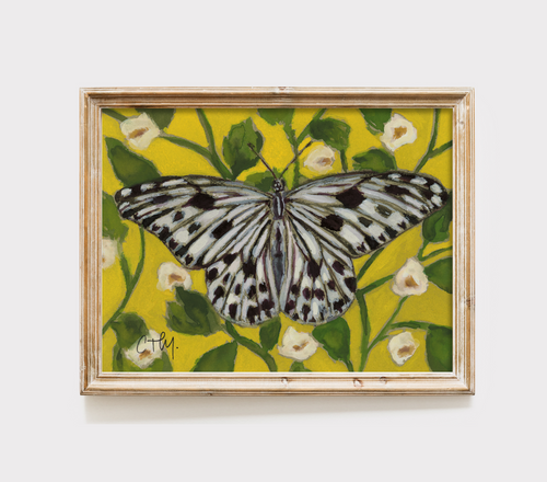 Frank - Print | Christie T Macey