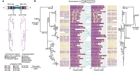Lab photos and news | Logsdon Lab