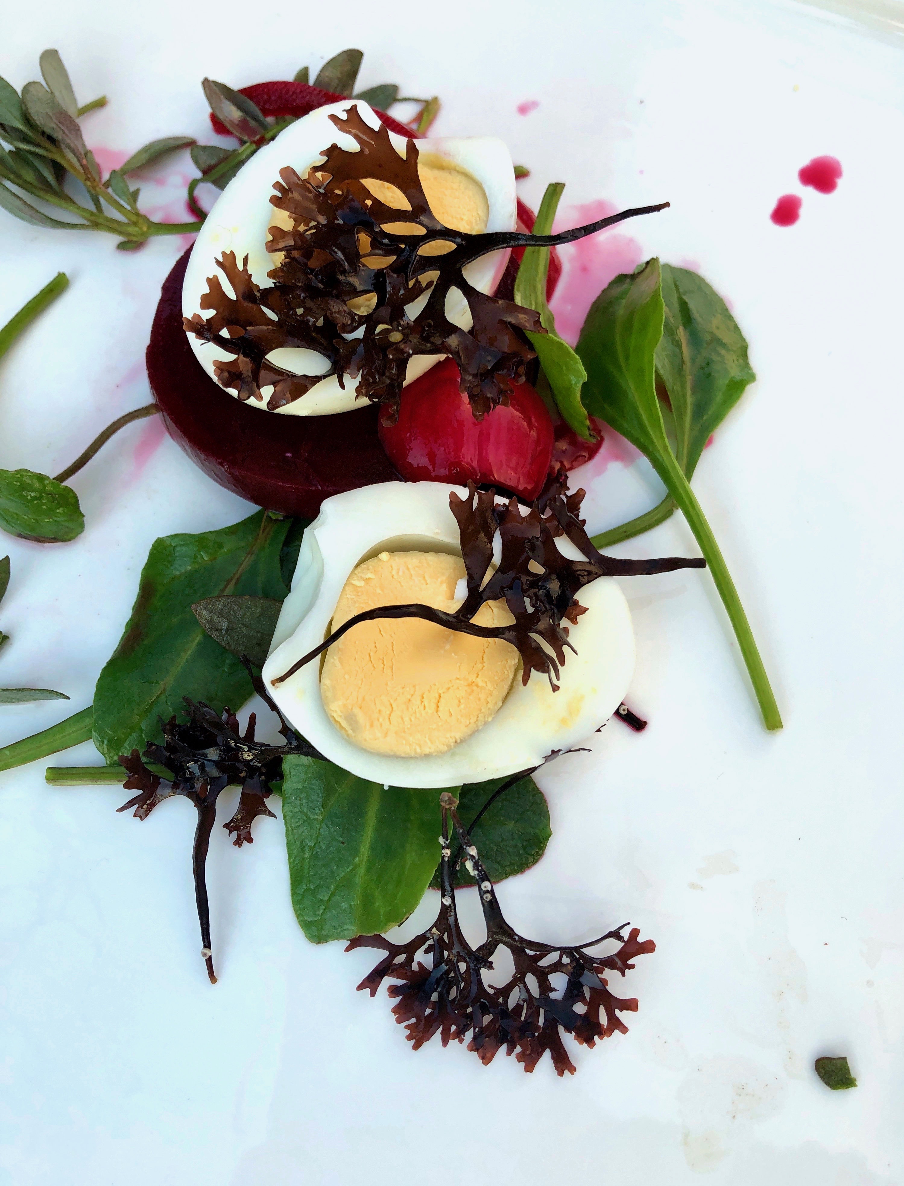 Robb Walsh | Ireland Eats » Pepper Dillisk & Sea Spinach: A Forager's Lunch