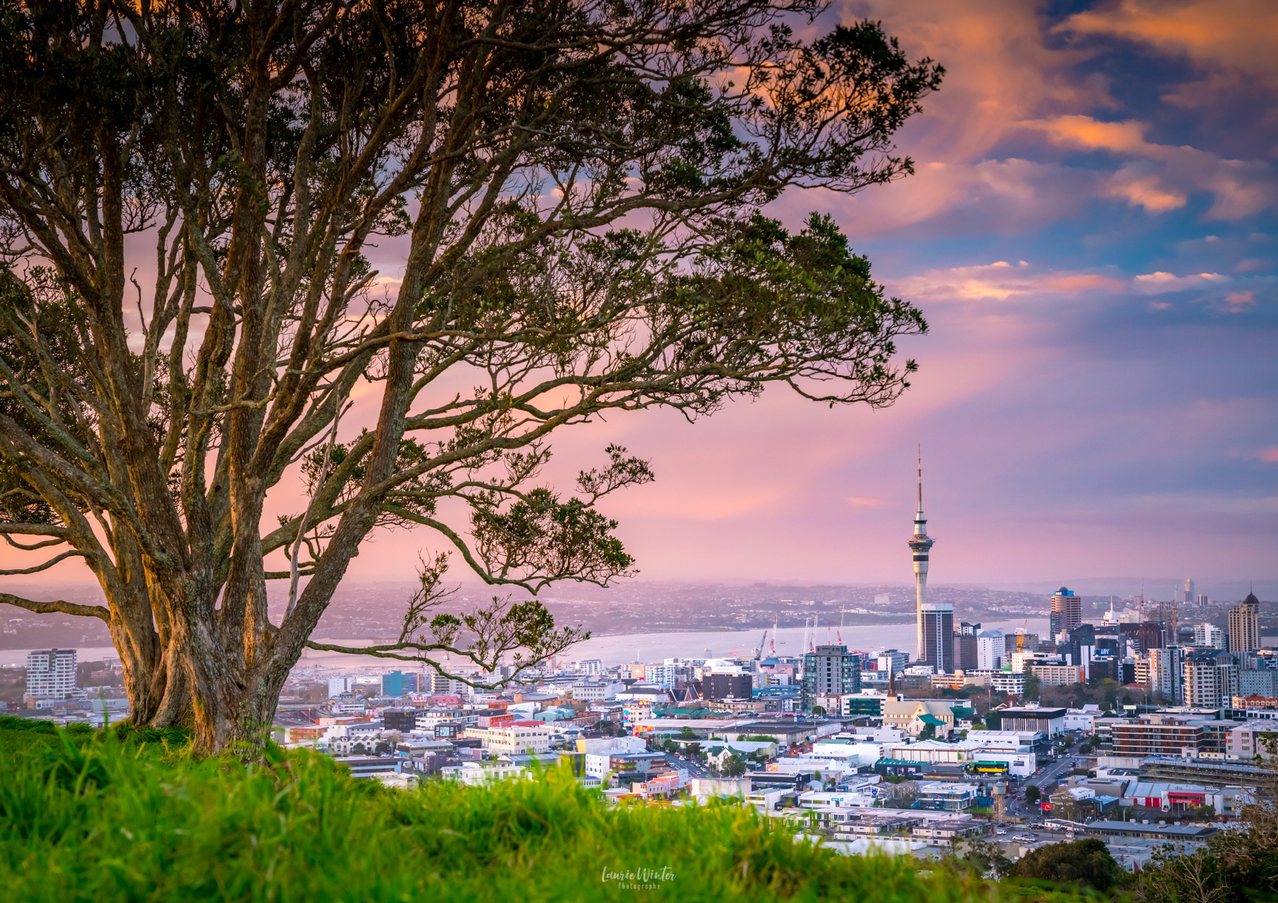 Mt Eden Sunset Auckland | Laurie Winter