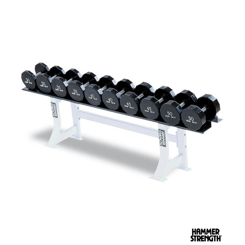 Hammer Strength Single Tier Dumbbell Rack (Life Fitness) | Fitness For All