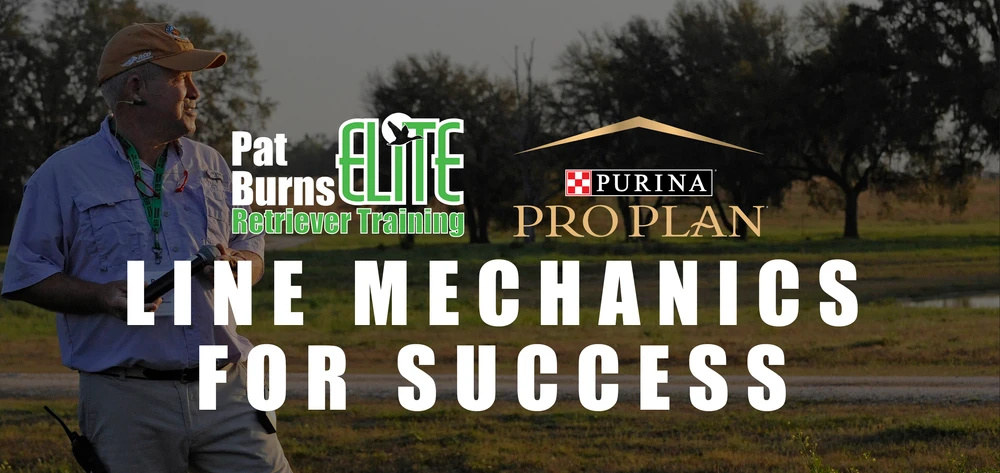 Line Mechanics for Success | Elite Retrievers