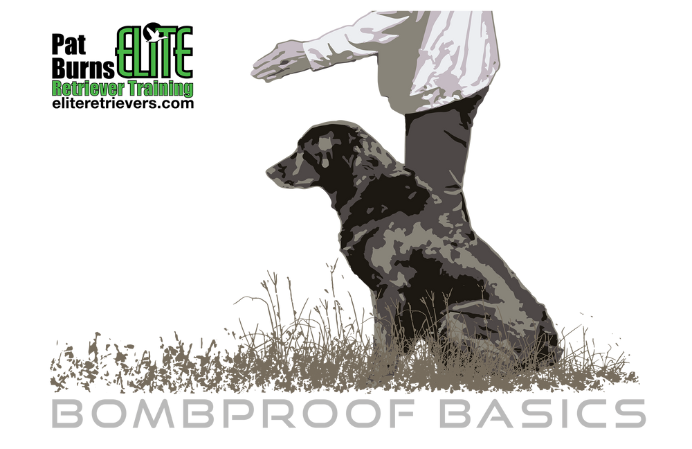 Bombproof Basics | Elite Retrievers