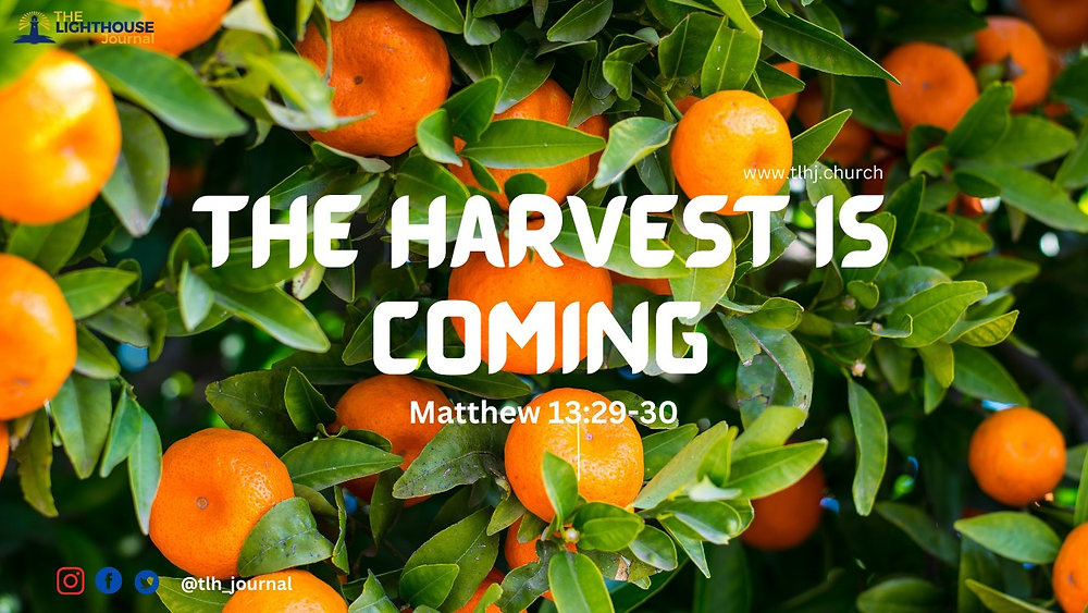 The Harvest Is Coming
