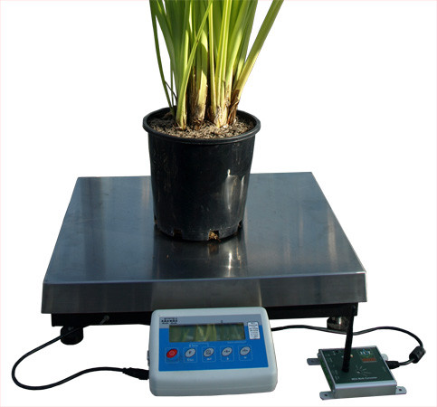WSM1 - Weigh Scale Meter 60kg | Mysite
