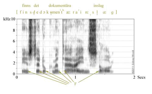 Exploring the Fascinating World of Formants: A Beginner's Guide.