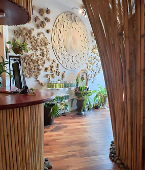 Alma Mesquita NP | Medical Aesthetic | New York, NY, USA