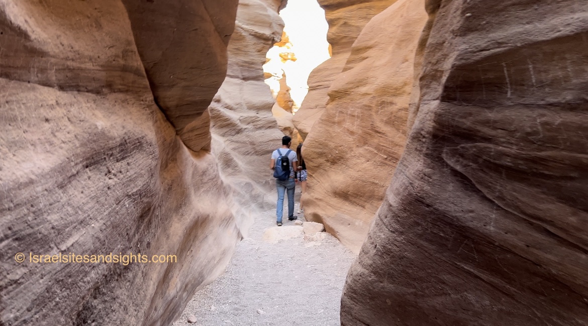 The 75 Reasons to Love Israel: A Special Tribute