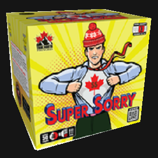 SUPER SORRY | monsite