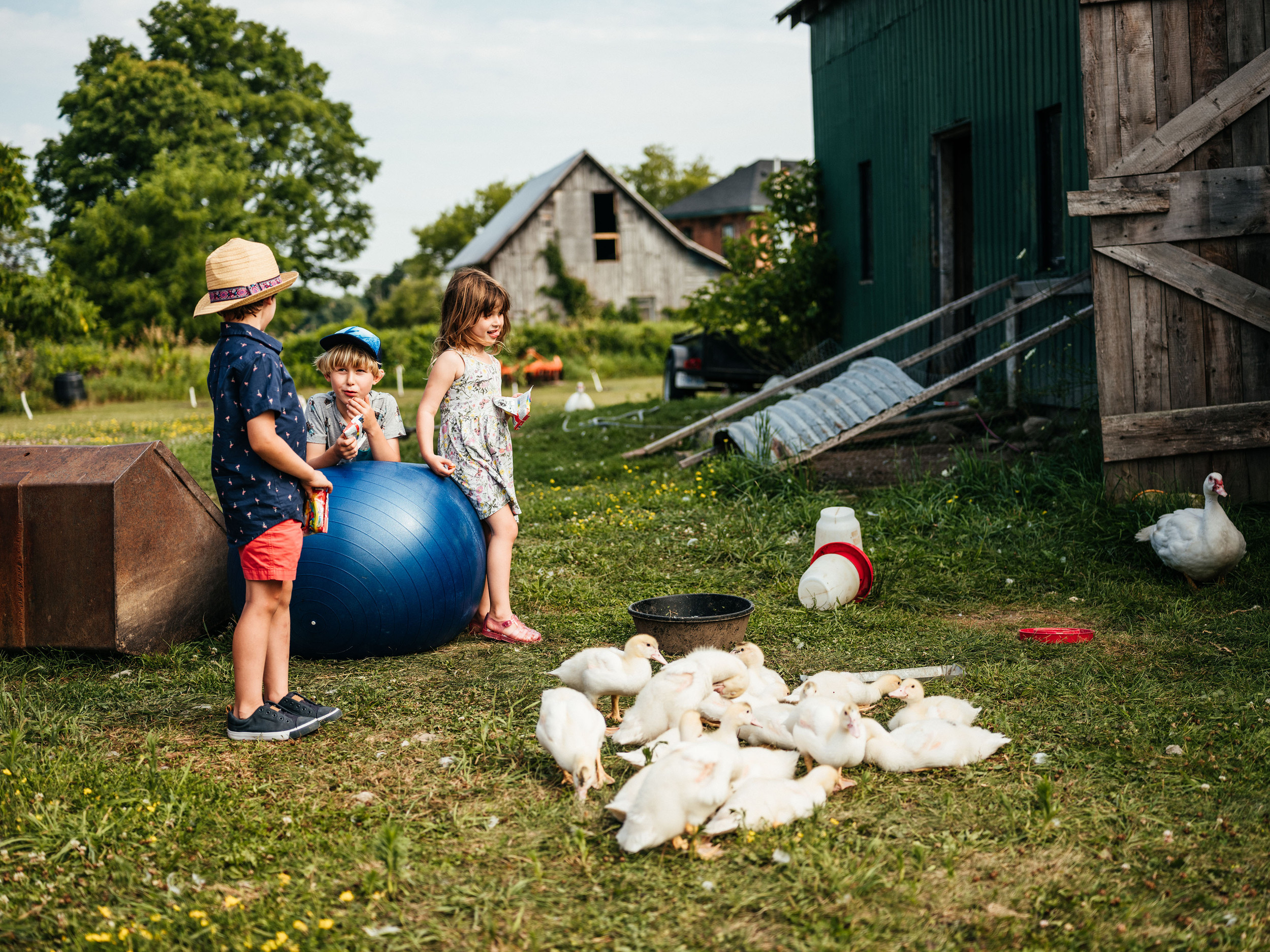 Kids Summer Program | Littlejohn Farm