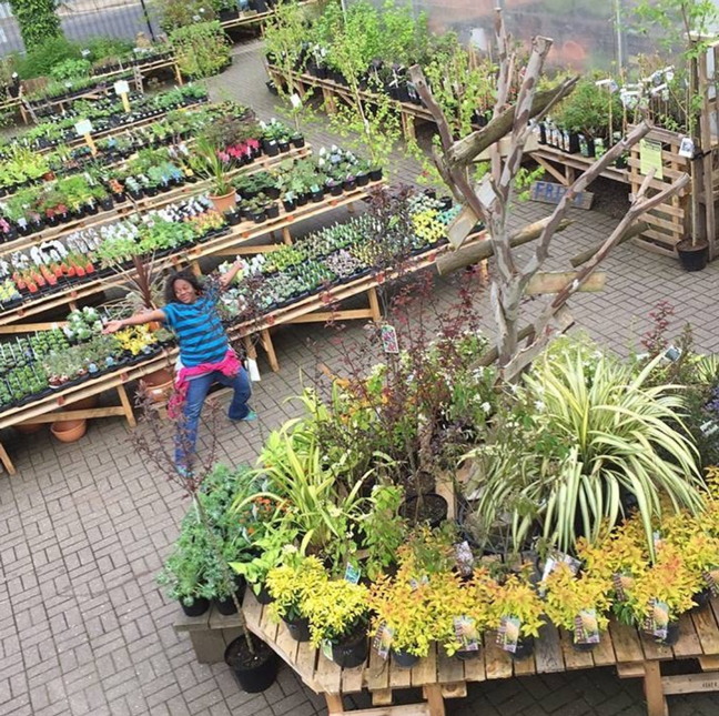 Top 10 Places To Buy Indoor Plants Online In the UK