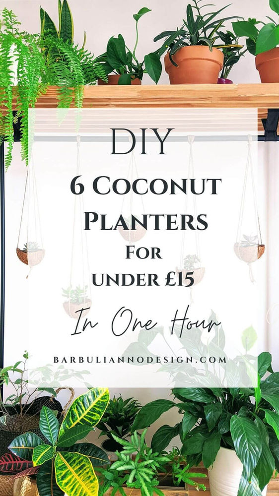 Easy, Cheap, and DIY-able Coconut Shell Planters