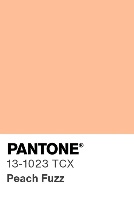 Peach Fuzz Artistry: Mastering Pantone's Color of the Year in Acrylic ...