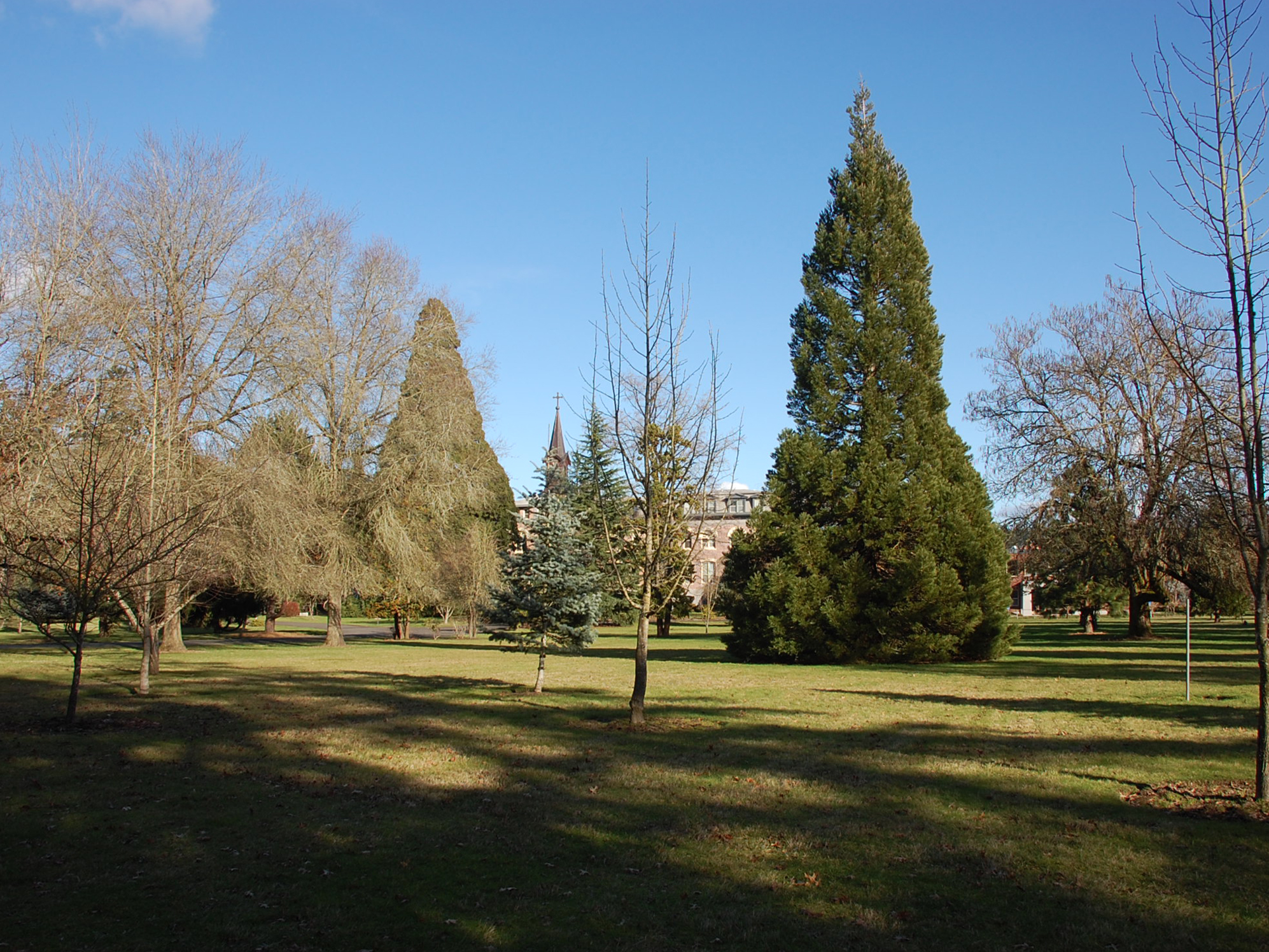 Shalom at the Monastery | benedictine-srs