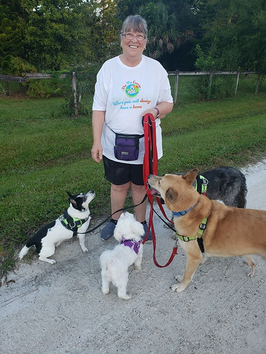 Shop | The Pet Cottage