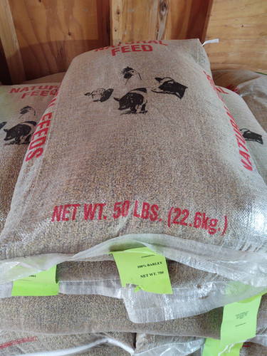 Bagged Barley | svecfarms