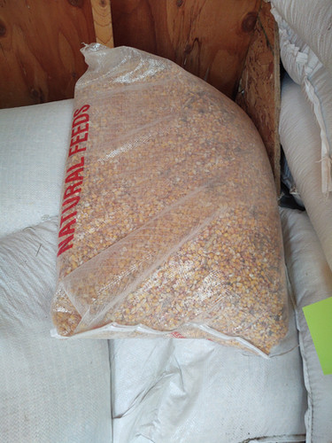 Bagged Corn | svecfarms
