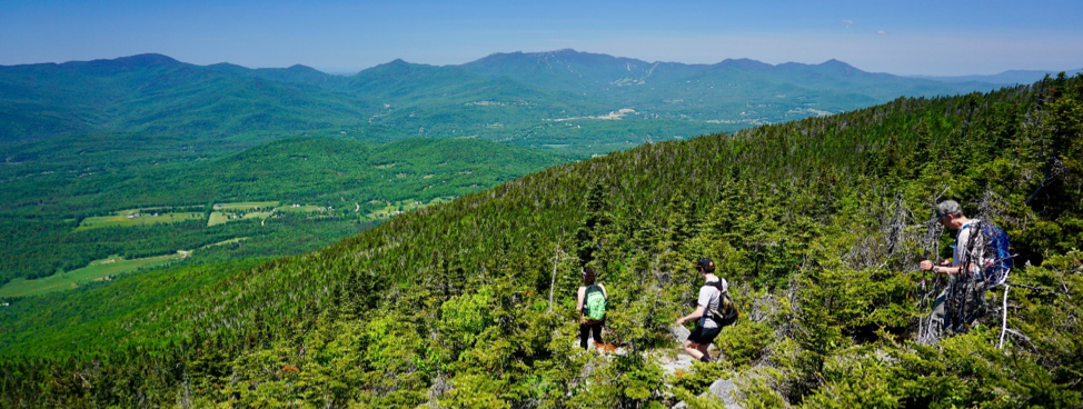 Hanging in the Balance: The future of Vermont's Wild Worcester Range
