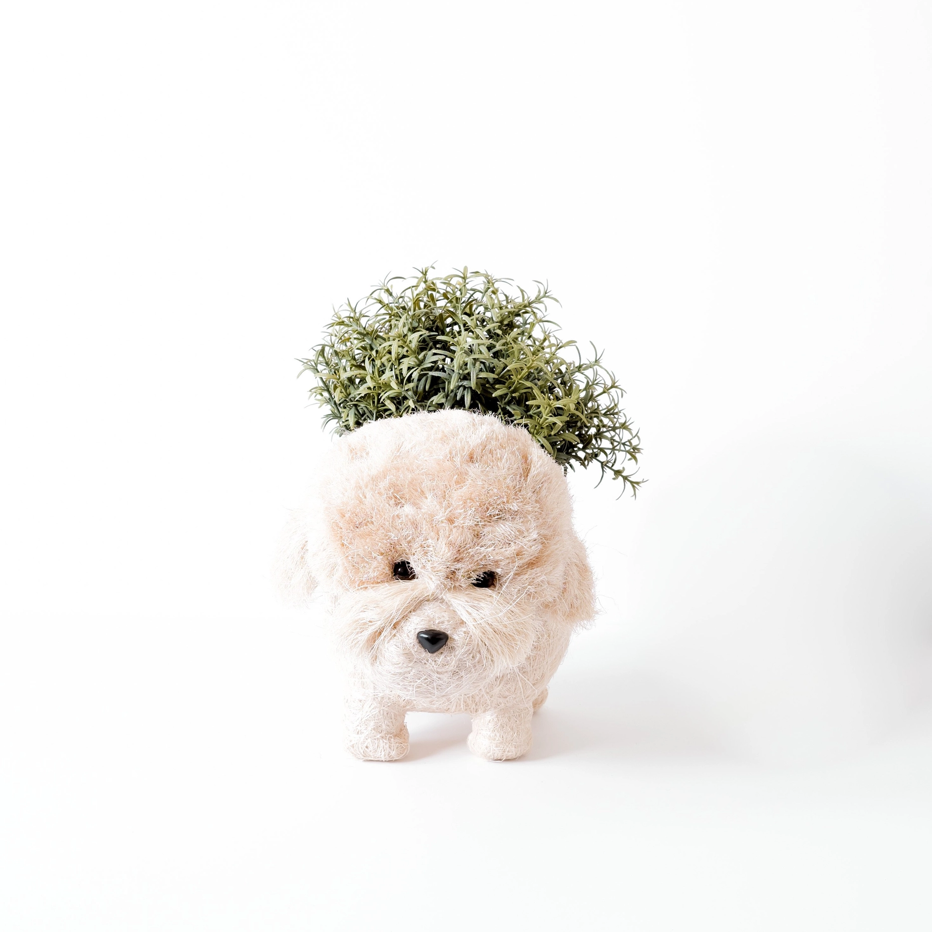 Poodle Planter | Halston House